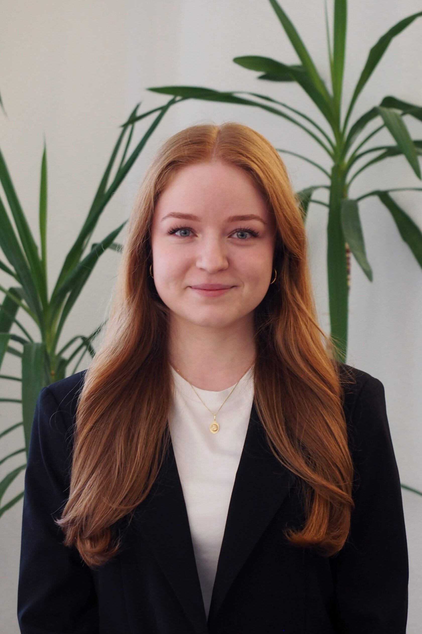 HAIP Solutions Team - Get To Know Us