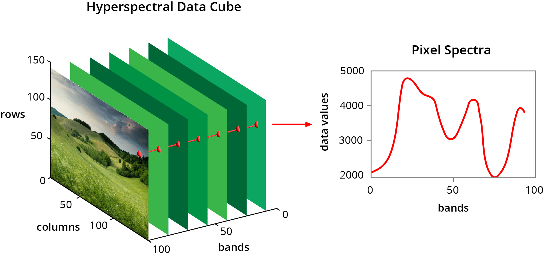 What is Hyperspectral Imaging? - Knowledge Base